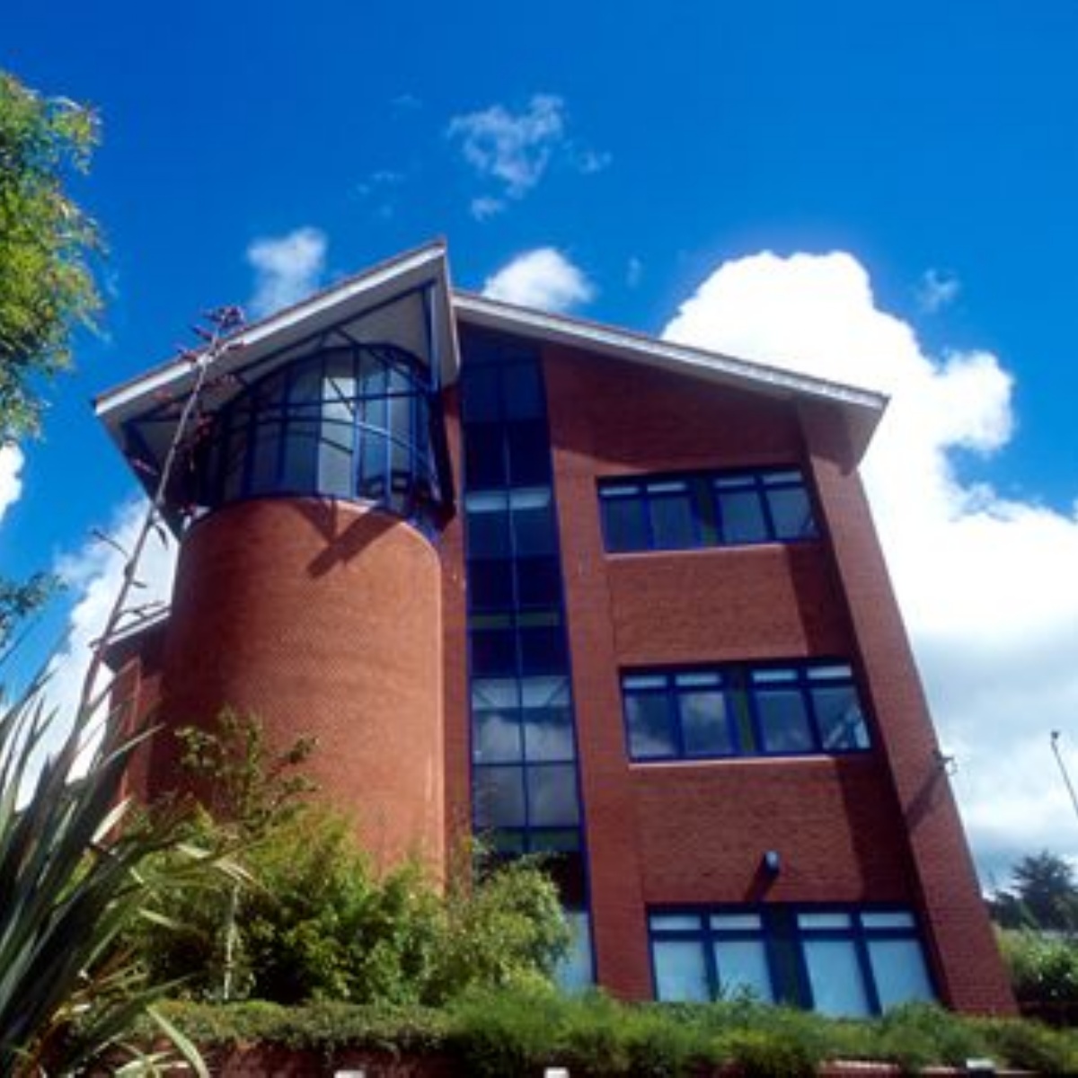 Ivybridge Community College - Good News from Ivybridge Community College