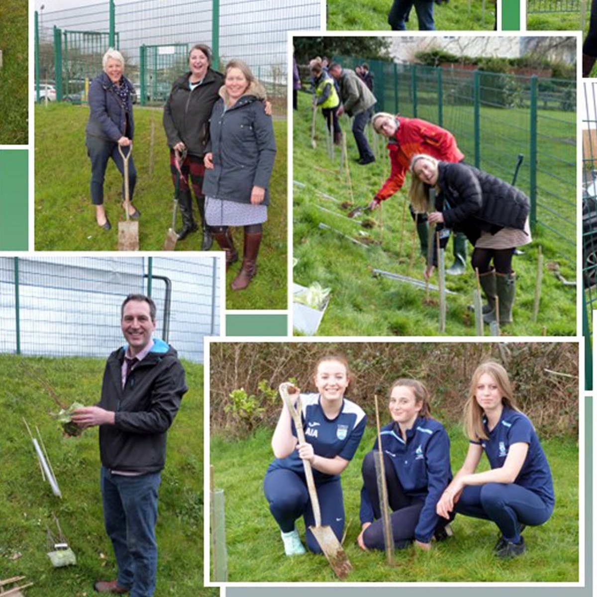 Ivybridge Community College - Staff and Governors ‘Dig In’ with Tree ...